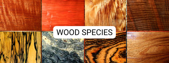 Global Wood Source,Exotic Wood Source, Campbell, Ca.